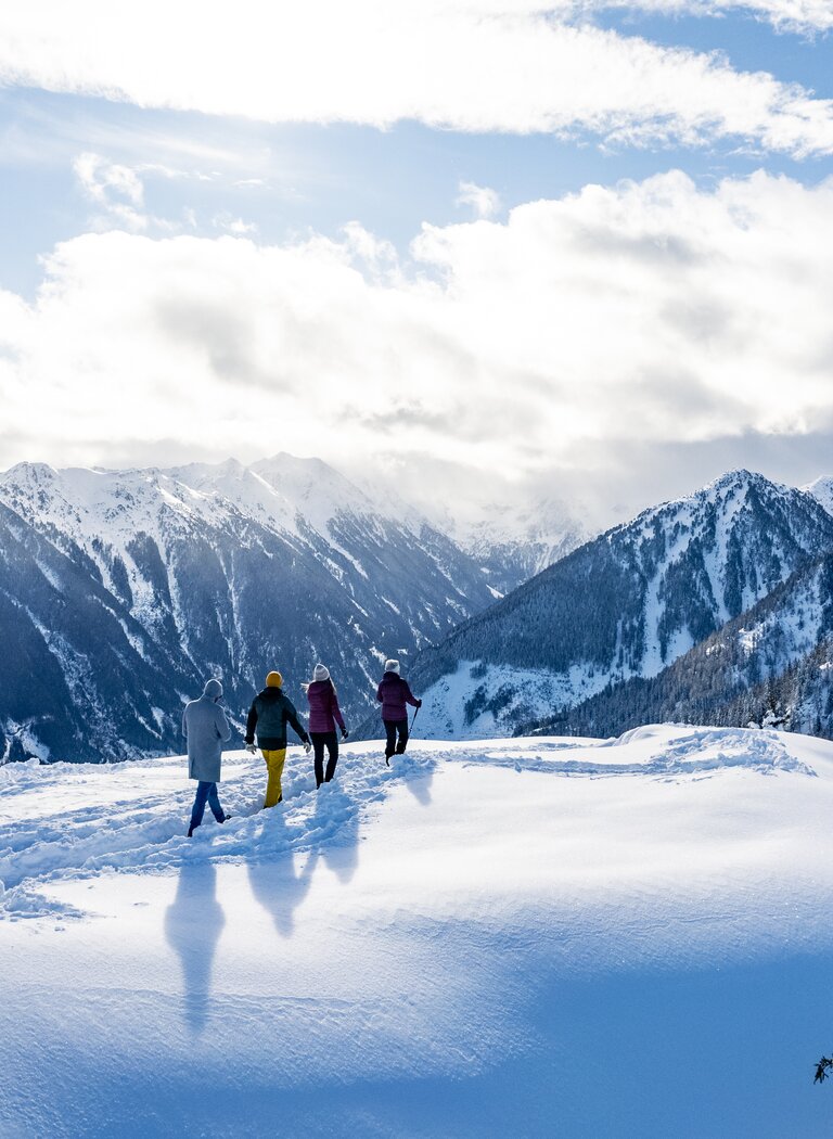 12 Tage - Winterwandern Schladming-Dachstein